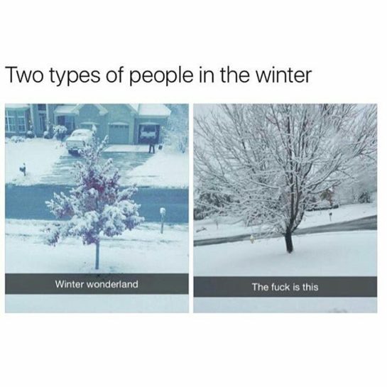 31 Joyful Memes to Make You Smile Whole Day - Music Raiser