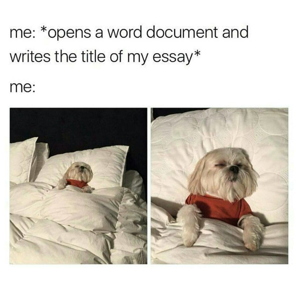 31 Joyful Memes to Make You Smile Whole Day - Music Raiser