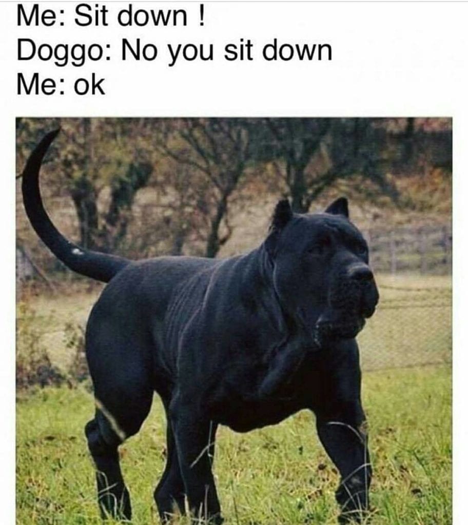 31 Joyful Memes to Make You Smile Whole Day - Music Raiser