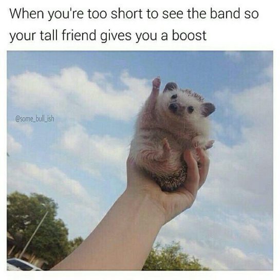 32 Best and Funniest Memes That Will Make Your Day - Music Raiser