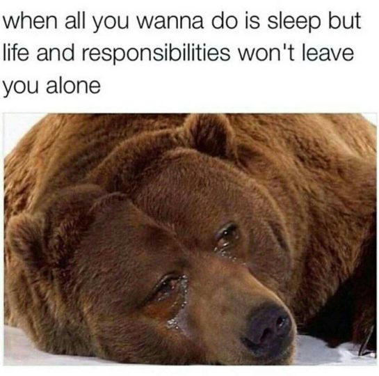 32 Happy Memes to Make Your Whole Day Better - Music Raiser