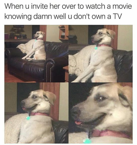 32 Happy Memes to Make Your Whole Day Better - Music Raiser