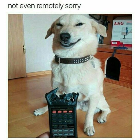 32 Hilarious Time Pass Memes to Check Out - Music Raiser