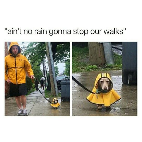 32 Relatable Funny Memes for You - Music Raiser