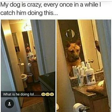 34 Supper Funny Memes If You Are Getting Board - Music Raiser