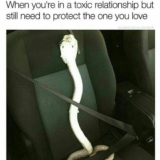 34 Supper Funny Memes If You Are Getting Board - Music Raiser