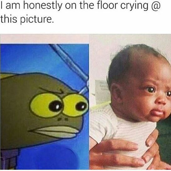 34 Supper Funny Memes If You Are Getting Board - Music Raiser