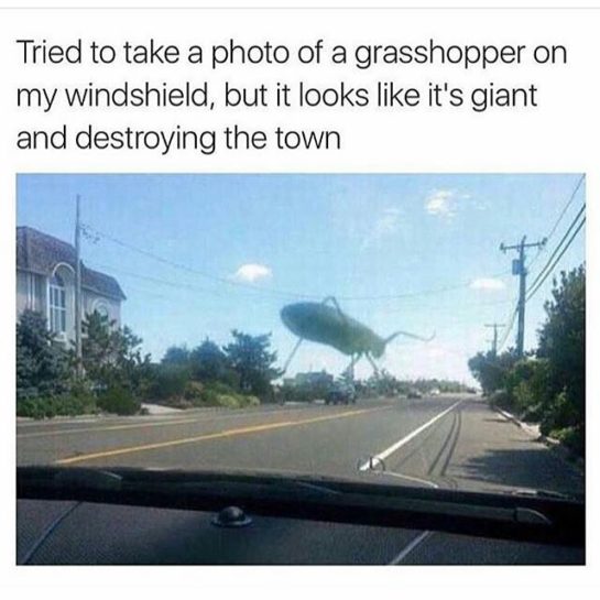 37 Funny Memes That Will Make Your Any Day Better - Music Raiser