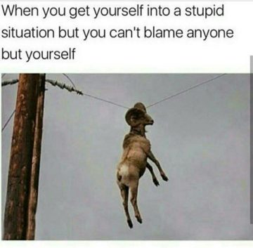 37 Funny Memes That Will Make Your Any Day Better - Music Raiser