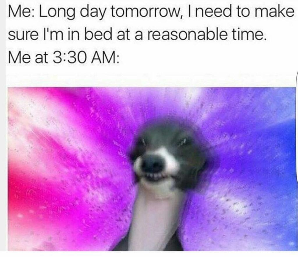 39 Feel Good Memes to Make You Smile and Happy - Music Raiser