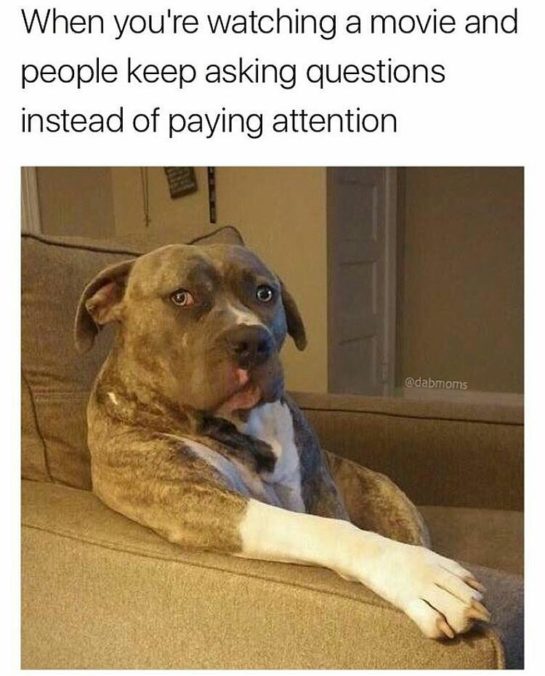 39 Feel Good Memes to Make You Smile and Happy - Music Raiser