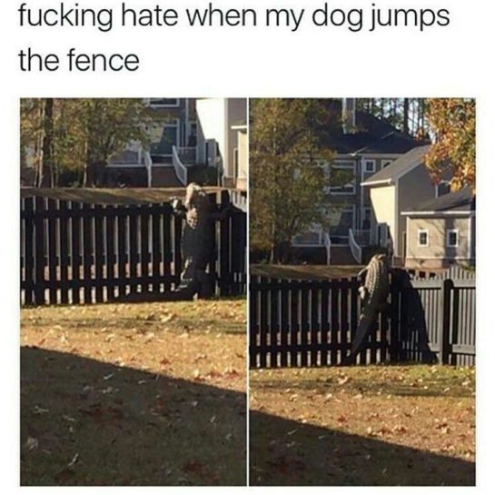 39 Feel Good Memes to Make You Smile and Happy - Music Raiser