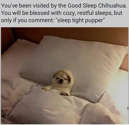 39 Feel Good Memes to Make You Smile and Happy - Music Raiser