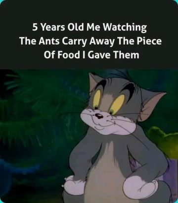 The Top 33 Trending Hilarious 9Gag Memes (Updated 2024) - Music Raiser