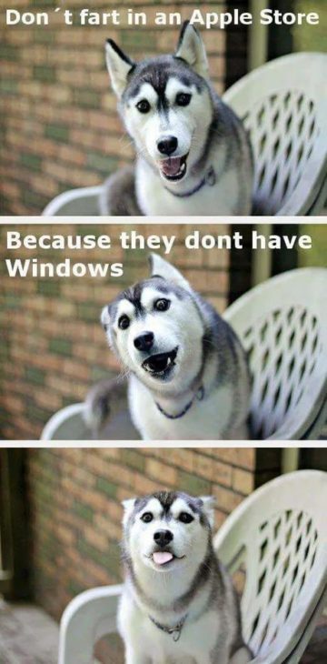 The Top 33 Trending Hilarious 9Gag Memes (Updated 2024) - Music Raiser