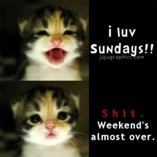 20 Funny Sunday Memes To Make You Weekend Complete - Music Raiser