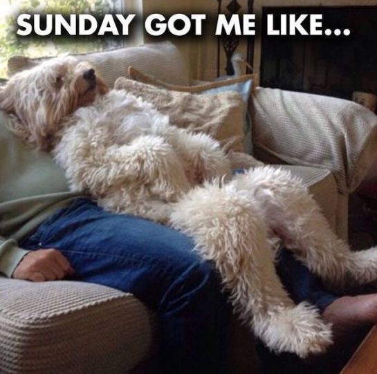 20 Funny Sunday Memes To Make You Weekend Complete - Music Raiser