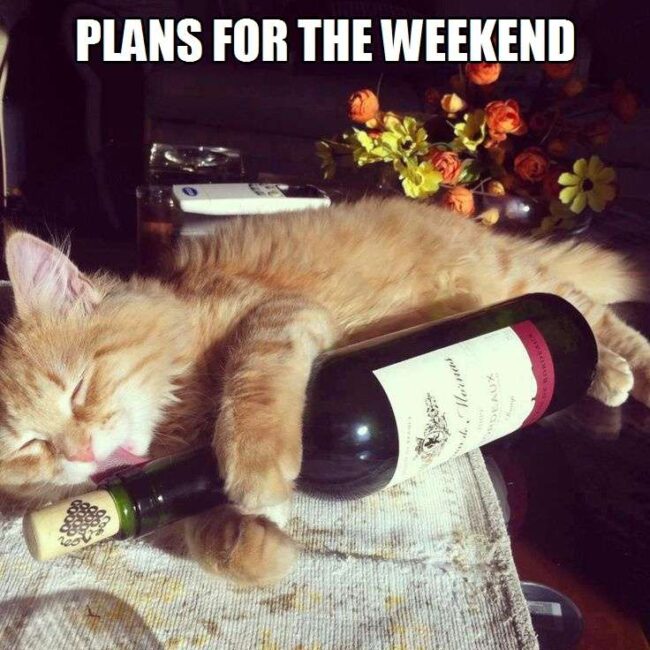 20 Funny Sunday Memes To Make You Weekend Complete - Music Raiser