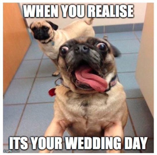 21 Awesome Memes on Wedding That Will Make You Laugh - Music Raiser