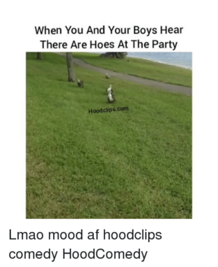 44 DDLG Memes for Boys Who like Dominant On Bed - Music Raiser