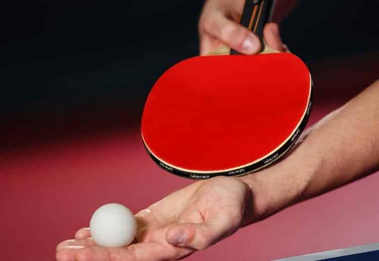 5 Most Expensive Ping Pong Paddles of 2024 - Music Raiser