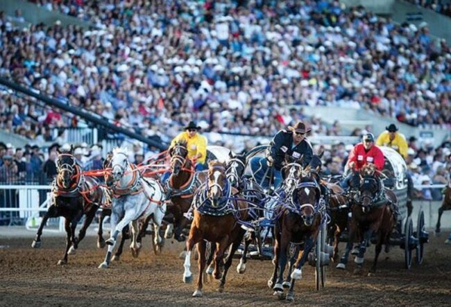10 Best Museums and Attractions in Calgary - Music Raiser