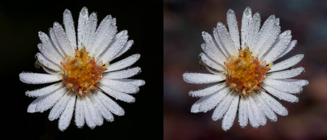 5 Simple Photoshop Techniques to Improve Your Photos - Music Raiser