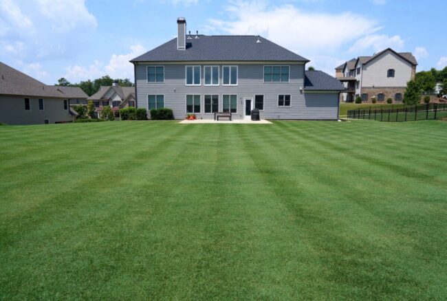 Warm Season vs. Cool Season Grass: How Weeds Affect Both Types of Lawns ...